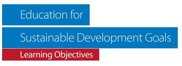 How are competencies selected in ESD frameworks?